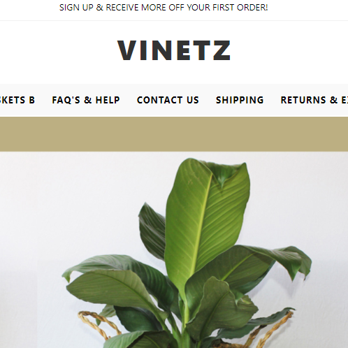 vinetz - itisREVIEWED.com