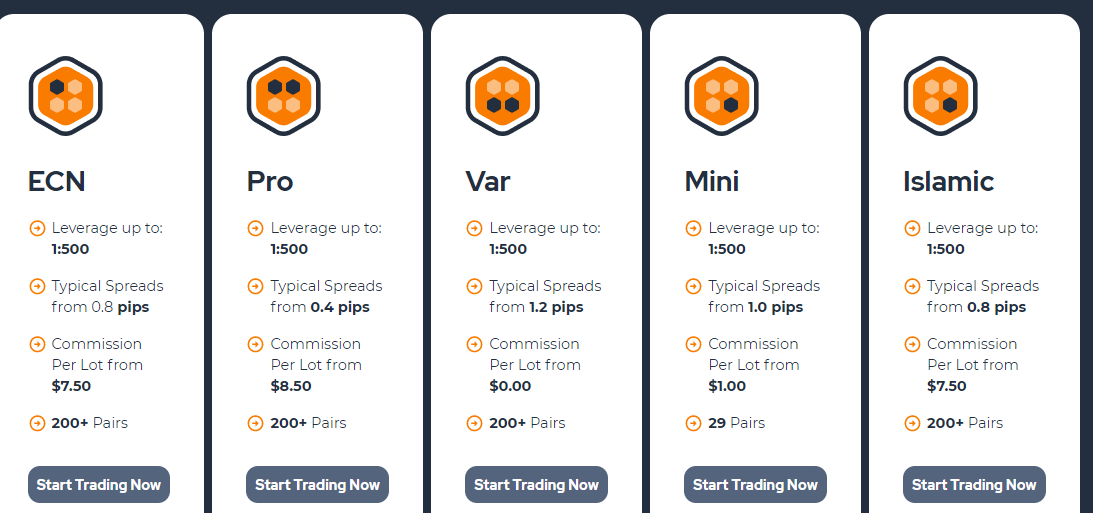 Hive Markets Review (2021): Scam? Find Out! - itisREVIEWED.com